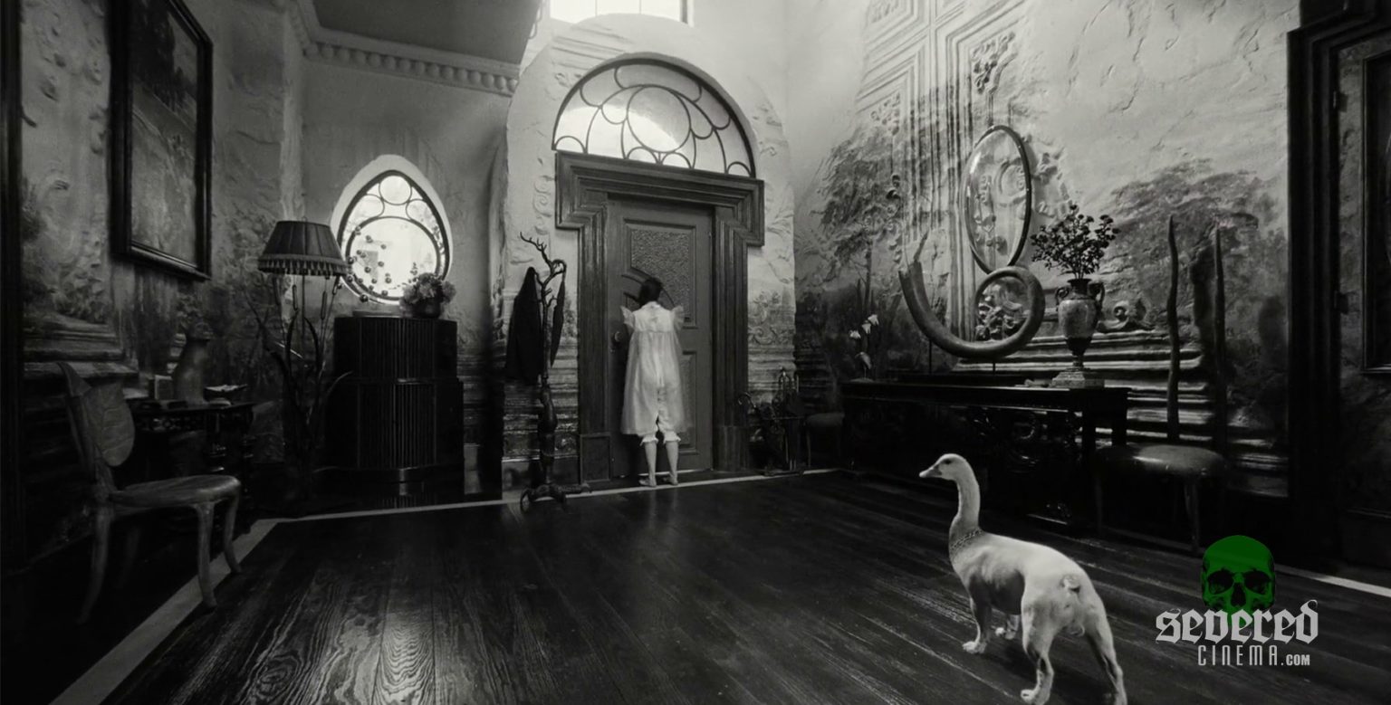 Poor Things: A Surreal Feminist Tale of Rebirth and Rebellion ...